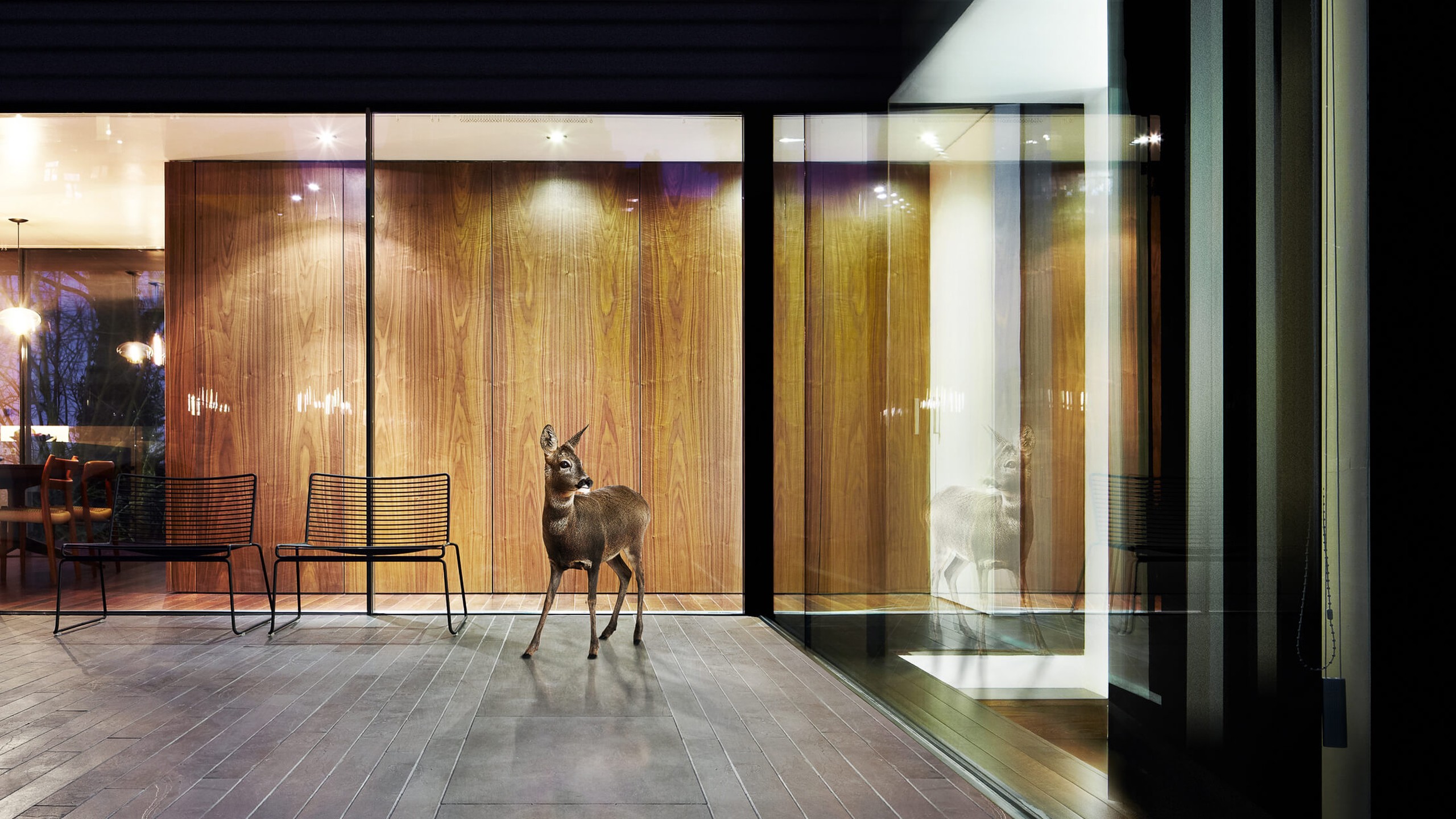 Frameless Sliding Glass Doors & Windows | Sky-Frame